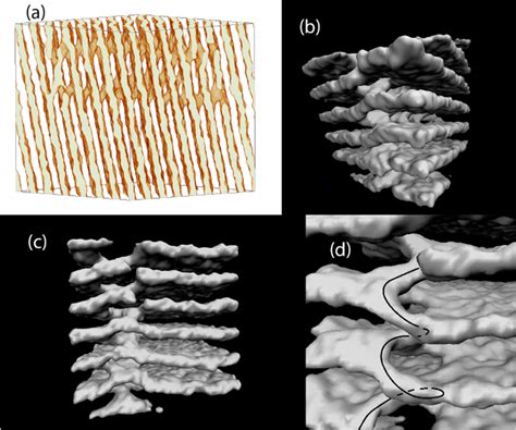 Spiral Defect Figure Taken From Ref [2] See Especially Panel D The Download Scientific