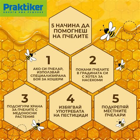 В Световния ден на пчелите ти споделяме 5 начина как да им помогнеш независимо дали си