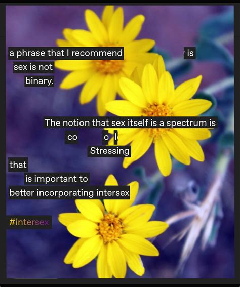 The Reverser On Tumblr