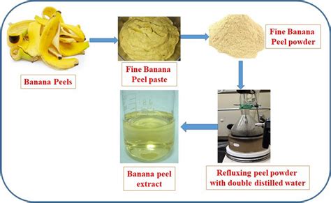 Preparation Of Banana Peel Extract Download Scientific Diagram