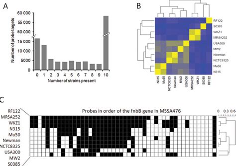 Figure 1 From Absence Presence Calling In Microarray Based Cgh Experiments With Non Model
