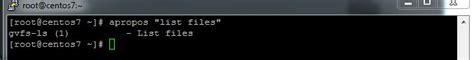 Important Bash Tips Tricks For Beginners Linuxtechlab