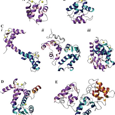 Pdf Structures And Metal Ion Binding Properties Of The Ca2 Binding Helix Loop Helix Ef Hand