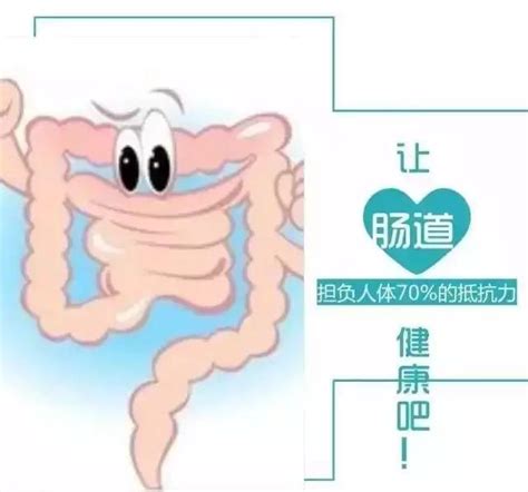 肠道改道后图片 改道器图片 第11页 大山谷图库