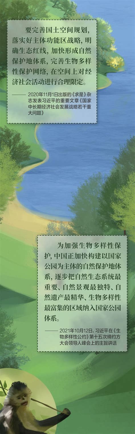 共同構建人與自然生命共同體 習近平這樣論述