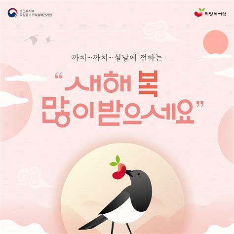 국립장기조직혈액관리원 💚 사연 모집 Event 💚 장기기증희망등록자의 이야기도 고민 중인 당신의 이야기도 Ok” 지금 여러분의 진솔한 이야기를 들려주세요 📅