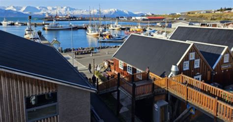 삼성 안방에 도전한 모토로라…갤z플립5 Vs 레이저40 카메라 승자는