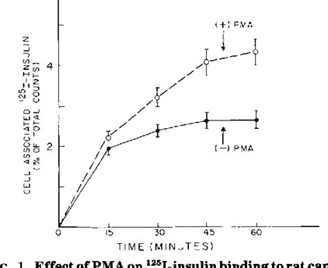 Figure 1 From Regulation Of Insulin Receptor Internalization In Vascular Endothelial Cells By