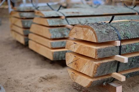 Timber Cutting Techniques Logie Timber