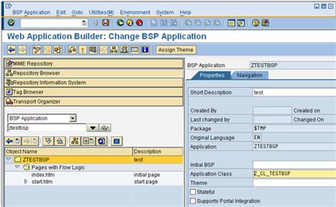 BSP Application Class SAP ABAP