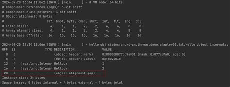 深入理解Java对象结构 狂盗一枝梅 博客园