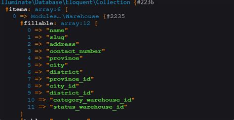 Laravel Cannot Show Dd The Array Result Issue Laravel Framework GitHub
