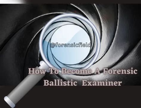 How To Become A Forensic Ballistics Examiner Forensicfield Forensics Blog