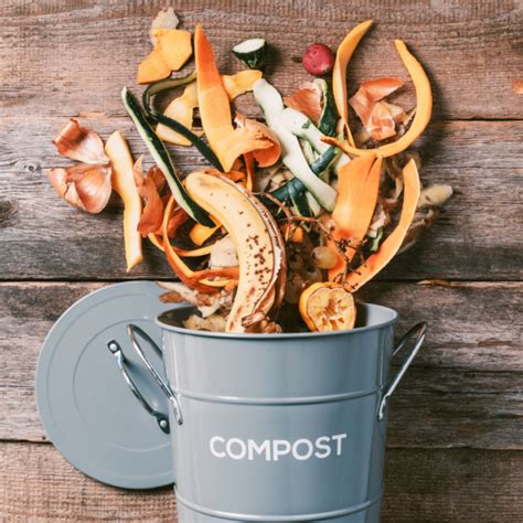 Composting Basics Learn How To Compost With Rohr S Nursery