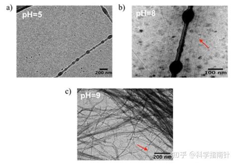 冷冻电镜，打开全新“视”界 知乎