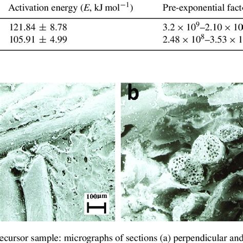 Kinetic Parameters For Thermal Decomposition Reaction Of Bio Precursor Download Table