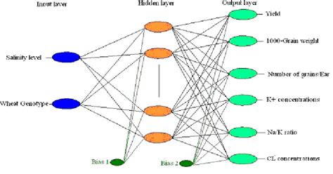 The Neural Network Model For Prediction Of The Yield And Yield