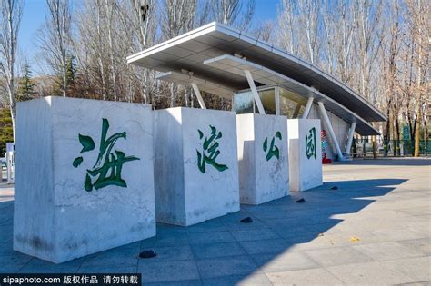 冬日晴空下的海淀公园