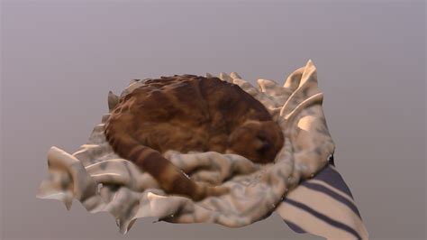 Leo Cat 3d Model By Nathankw D91bf1c Sketchfab