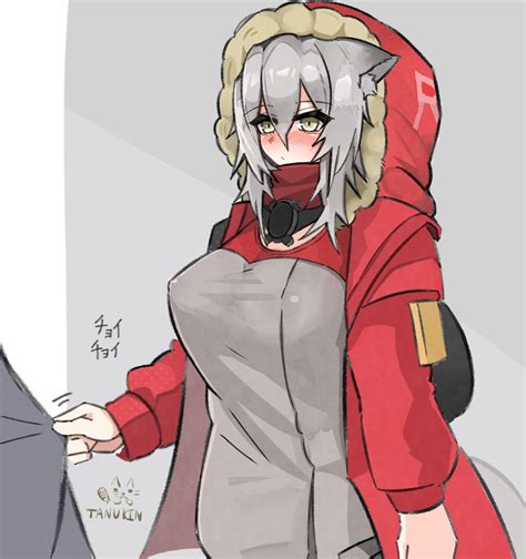 Projekt Red Arknights Drawn By Tanukin Tv Danbooru