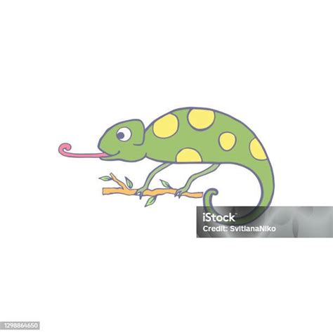 카멜레온은 흰색 배경에 고립 귀여운 만화 캐릭터 색상 카멜레온 손으로 그린 그림 어린이 어린이 아기를위한 벡터 낙서 스케치 포장 섬유 직물어린이 사진 0명에 대한 스톡 벡터