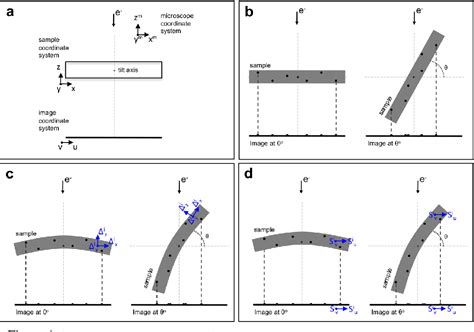 Figure 1 From Tomoalign Cryo Tomography Tilt Series Alignment And Tomographic Reconstruction