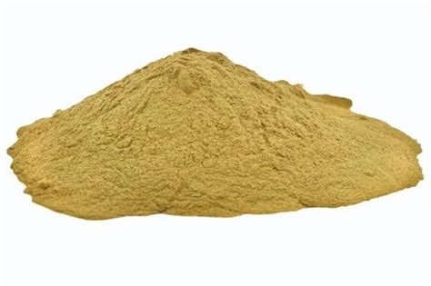 Cassia Tora Extract Powder At Rs 600kg In New Delhi Id 2855173744755