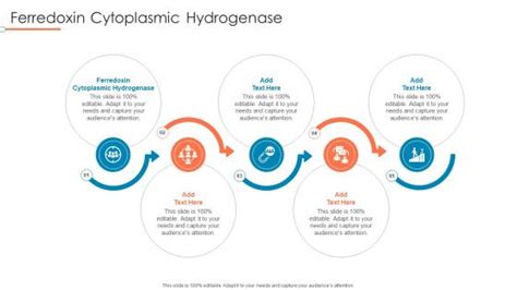 Cytoplasmic Hydrogenase Ferredoxin Powerpoint Presentation And Slides Ppt Example Slideteam
