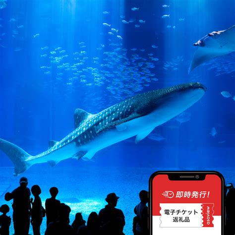 アソビュー！ふるさと納税｜ふるさと納税でお得に遊ぼう