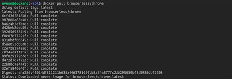 How To Run Headless Chrome Remotely Using Browserless By Michael