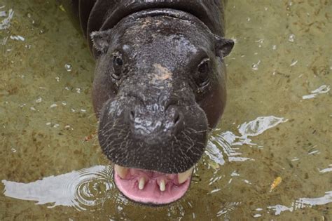 Bryan K Hildreth On Linkedin Hey You Are Almost Through Another Week