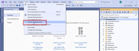 Launch A Net Application