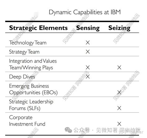 Ibm的业务领导力模型（blm）如何演化为中国企业的战略规划模型 知乎
