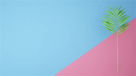 그래픽 배경작품 추가 메시지 3d 렌더링에 대 한 빈 공간을 나뭇잎 0명에 대한 스톡 사진 및 기타 이미지 0명 개념 개념과 주제 Istock