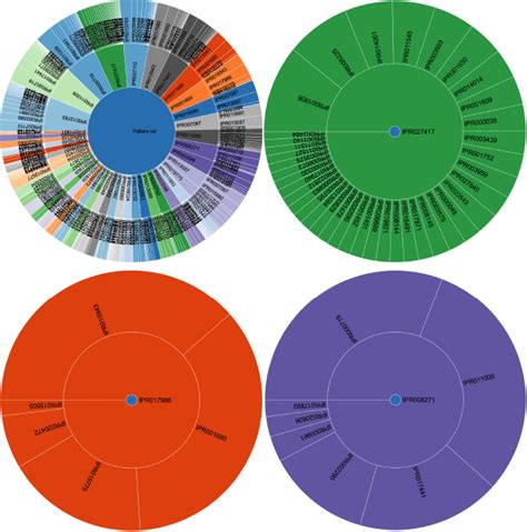 Visual Representation Of Pattern Clustering Each Pie Chart Starts From