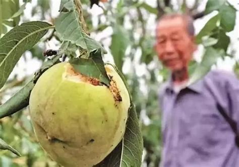 走了厄爾尼諾來了拉尼娜專家預測今年雨水將顯著增多 每日頭條