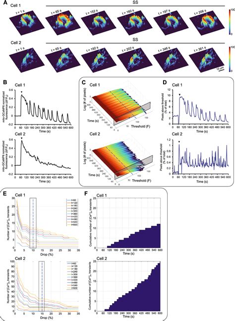 Mathematical Analysis To Identify [ca²⁺]m Transients A Pseudo 3d Download Scientific Diagram