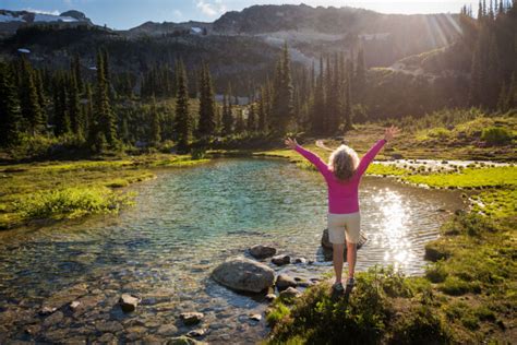 The Success Of The Canadian Pension Fund Model Cpp Investments