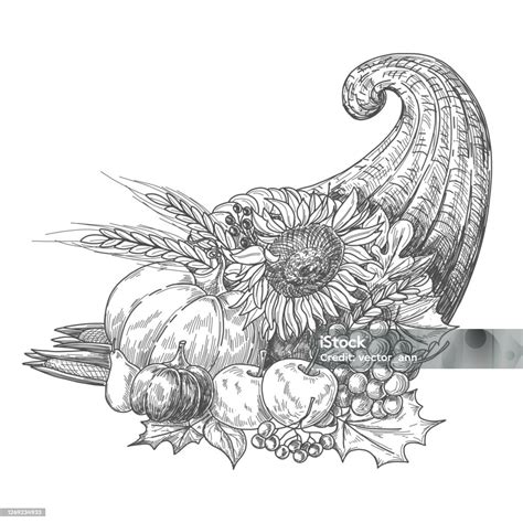 가을 시즌 수확 호박 해바라기 사과 포도와 손으로 그린 잉크 펜 그리기 Cornucopia 흰색 배경에 고립 된 음식 빈티지 에칭 일러스트레이션 풍요의 뿔에 대한 스톡 벡터