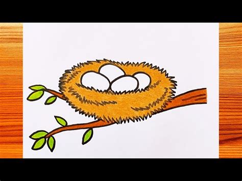 How To Draw A Nest Step By Step Infoupdate Org How To Draw A Nest Step By Step Infoupdate Org