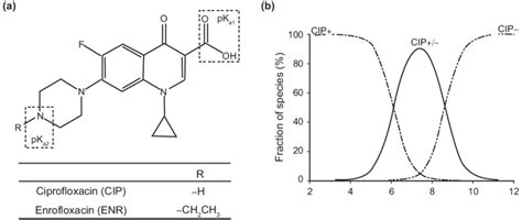 A General Molecular Structure Of Fluoroquinolones Studied In This