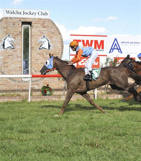 Walcha Prepares To Party For Two Day Cup Carnival Racing New South Wales