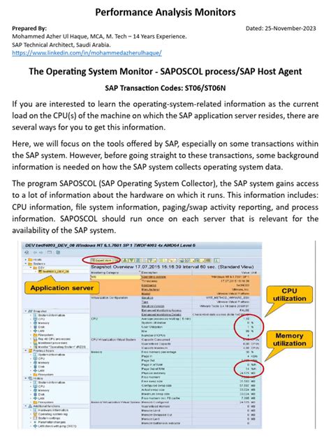 St06 Sap Monitor Too Pdf
