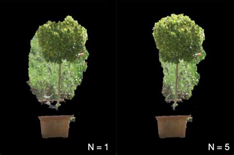 Github T5pathakgrabcut Replicated The Paper Titled ”grabcut — Interactive Foreground