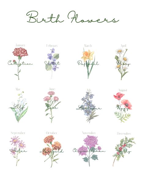 Birth Flowers By Month Digital Printable Etsy