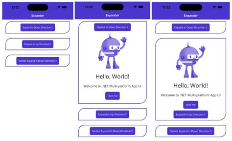 How To Use Expander In MAUI Learn Mobile Development