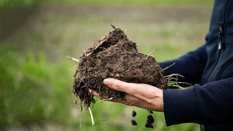 Soil Carbon Measurement Technology Streaks Ahead