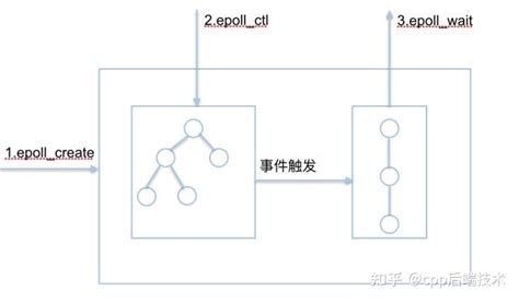深入了解epoll模型特别详细 知乎
