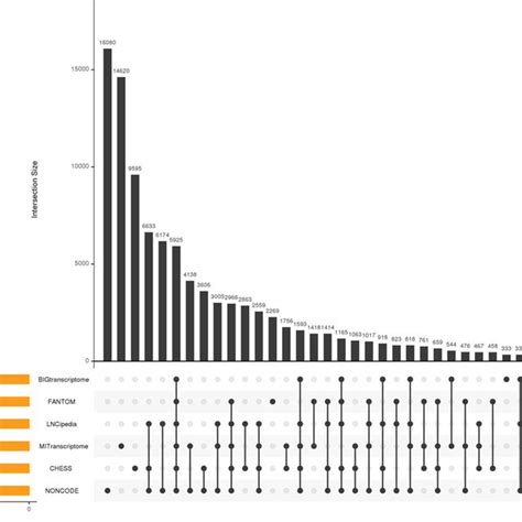 Upset Plot Showing The Overlap Of All Six Lncrnas Annotations At The Download Scientific