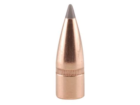 Factory Second Bullets 762x39mm 310 Diameter 123 Grain Polymer Tip